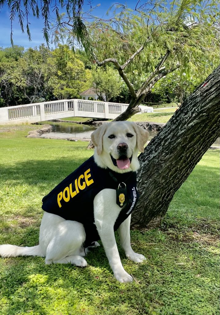 Department of Corrections and Rehabilitation | Narcotics Enforcement ...